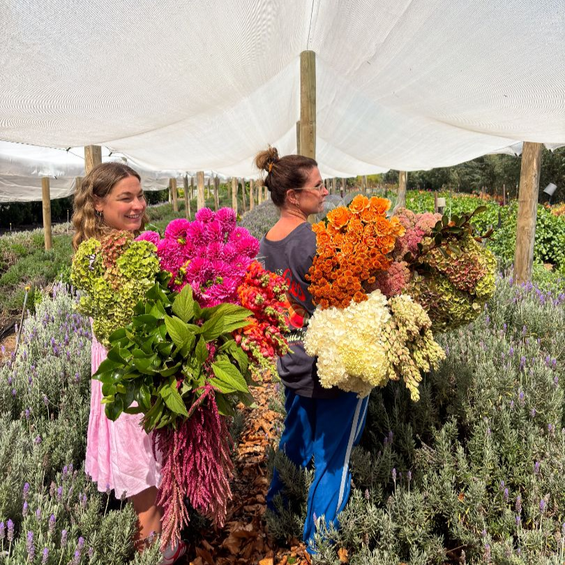 Fresh Blooms and Thoughtful Gifts – Geelong Flower Farm