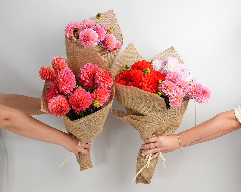 Geelong Flower Farm