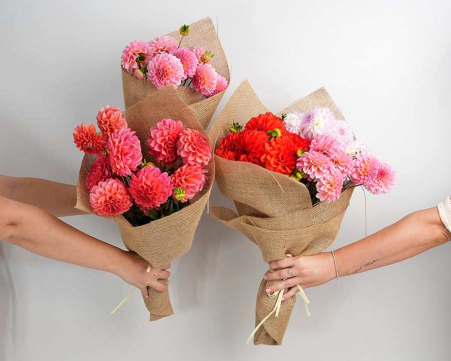 Geelong Flower Farm