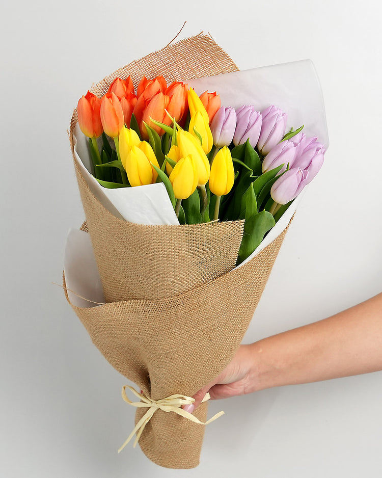Tulips – Geelong Flower Farm